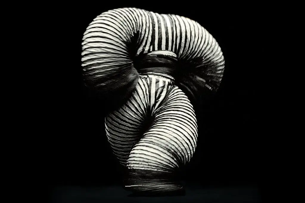 Inspiration for Circus Arts and Slinky Costumes | Capital Circus